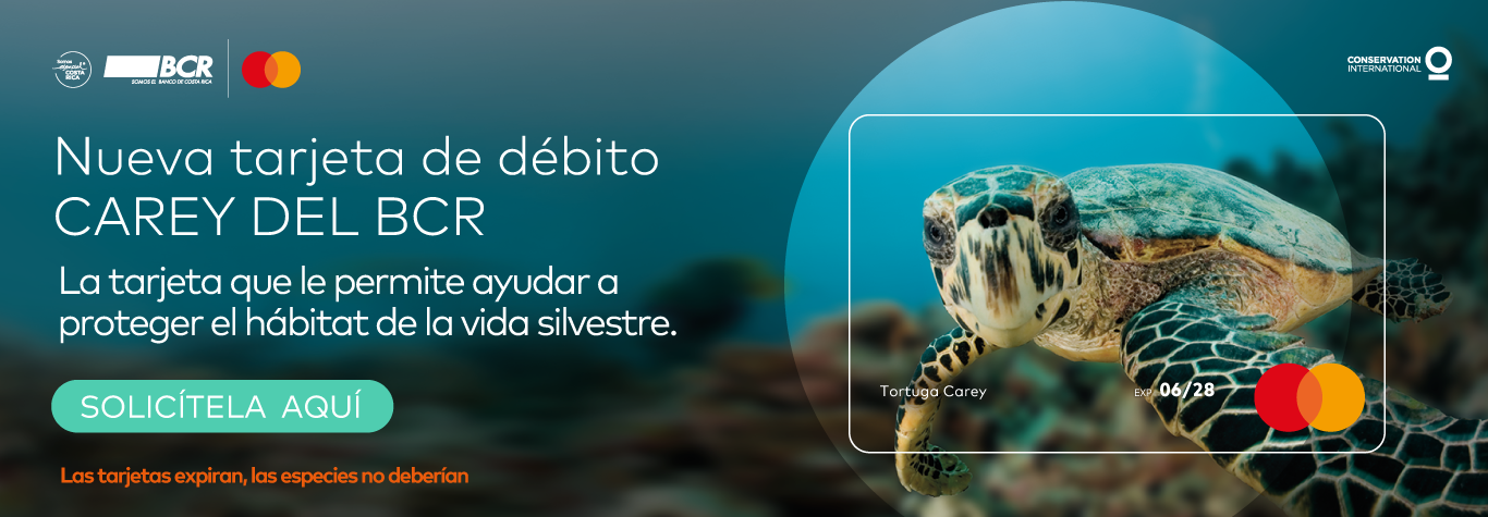 Banco BCR