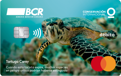 BCR | Cuentas
